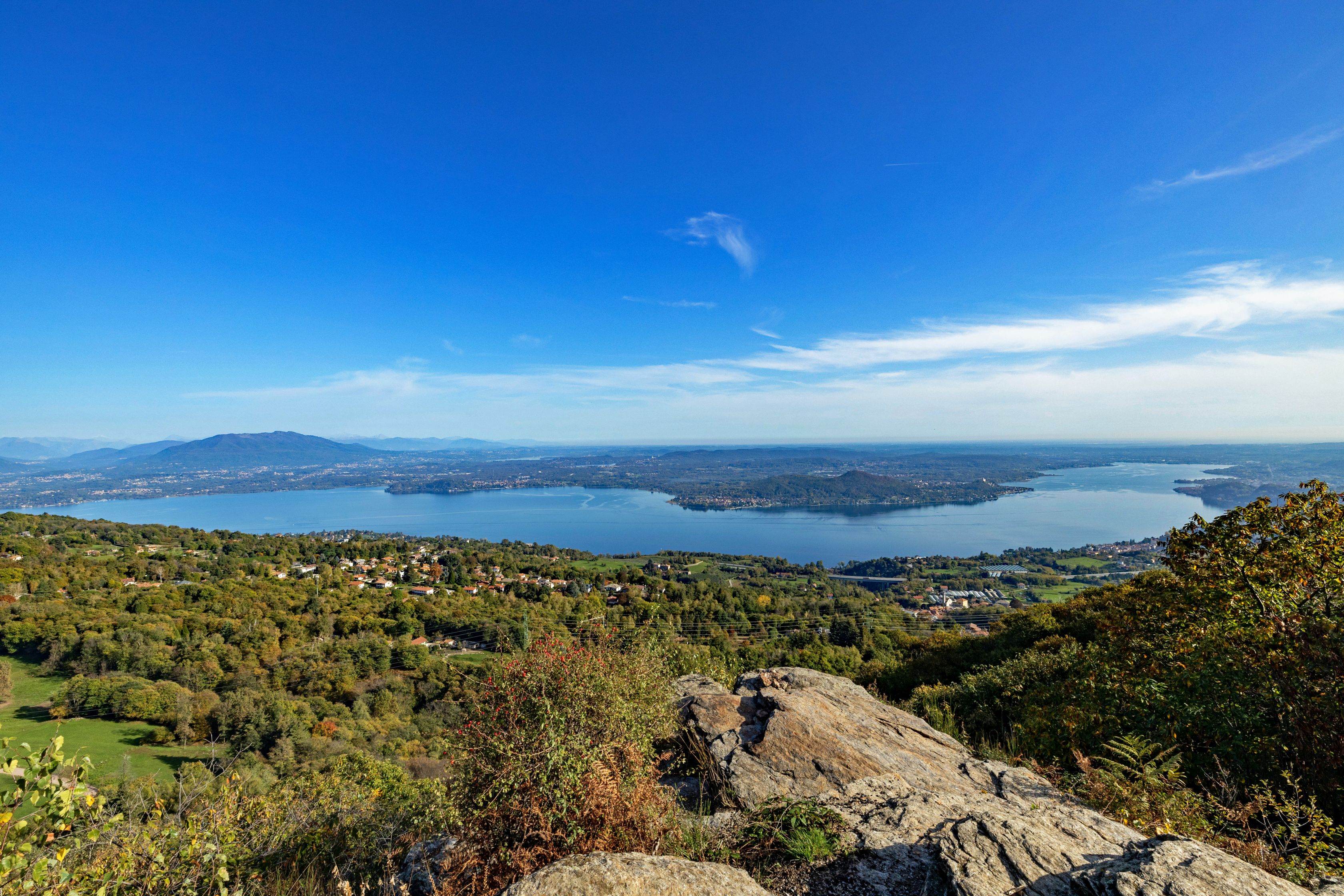 [Vergante] | [fiori tipici del Lago Maggiore]
