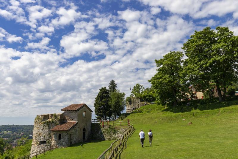 [Parco della Rocca Borromea] | [Arona]