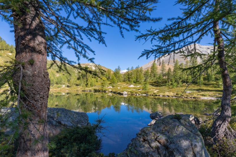 [Ossola Valleys] | [Ossola]