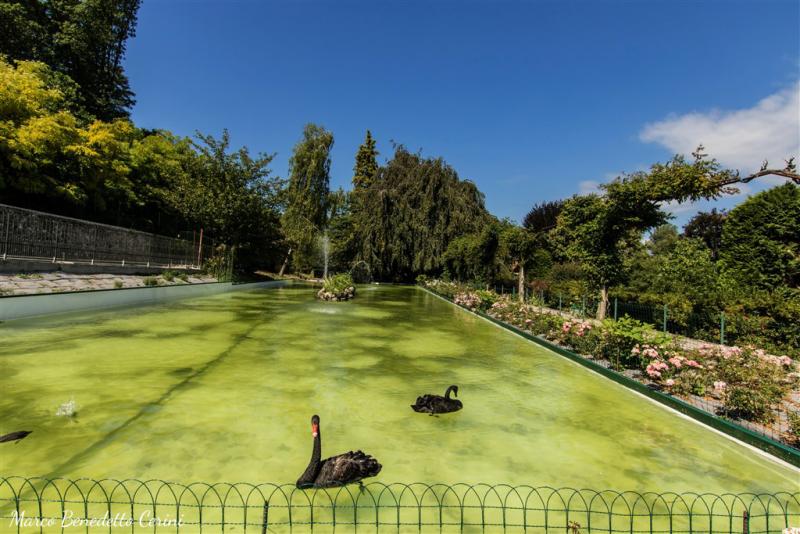 [Parco Pallavicino] | [garden and animals]