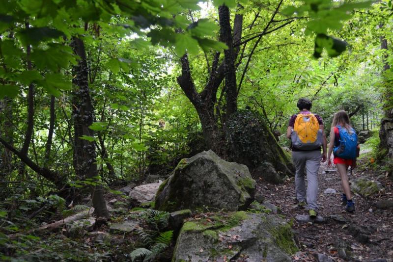 The “SENTIERO DEI CASTAGNI” Route from Stresa to Belgirate | Distretto ...